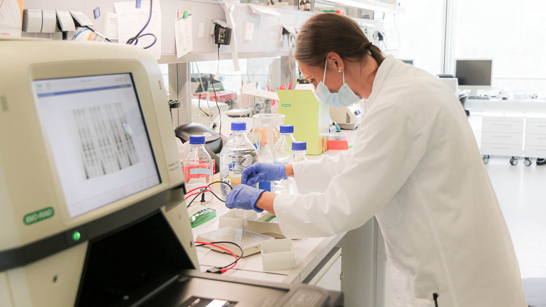 Team – Martin Fischer Research